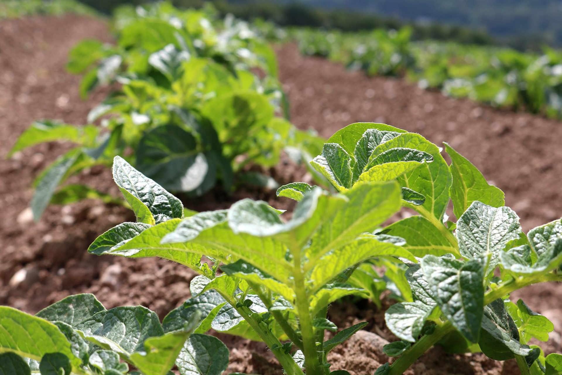 We can increase your farm productivity & save money for your business.